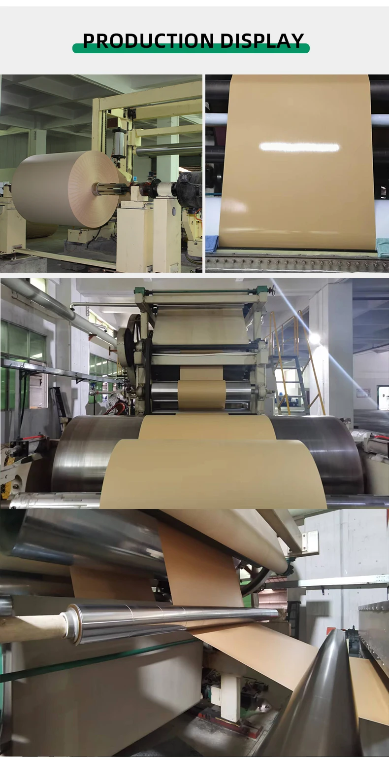 Sugarcane Pulp Paper - Biodegradable & Recyclable Sheets