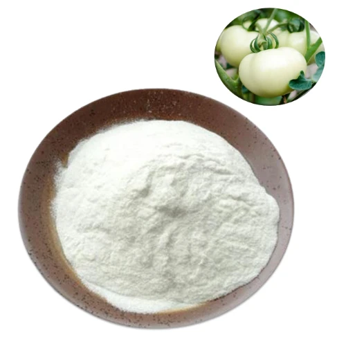 Fst Biotec 100% Crystal Tomato Powder Extract White Tomato Extract ...