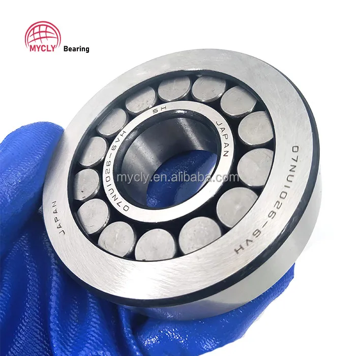 Radial Cylindrical Roller Bearings SC 070821 DVSH2NA