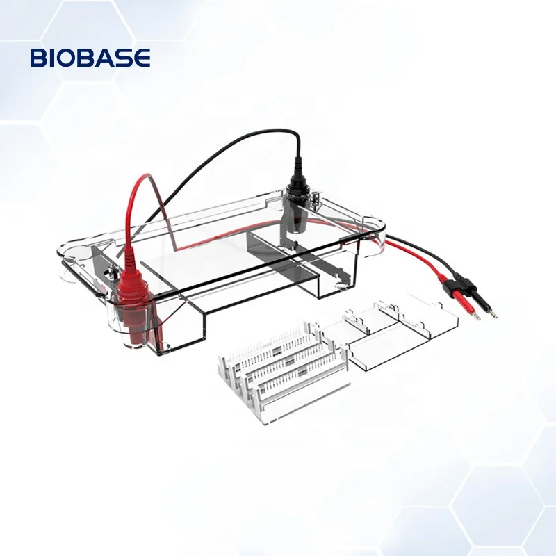 BIOBASE Horizontal Electrophoresis Tank - Agarose Gel System