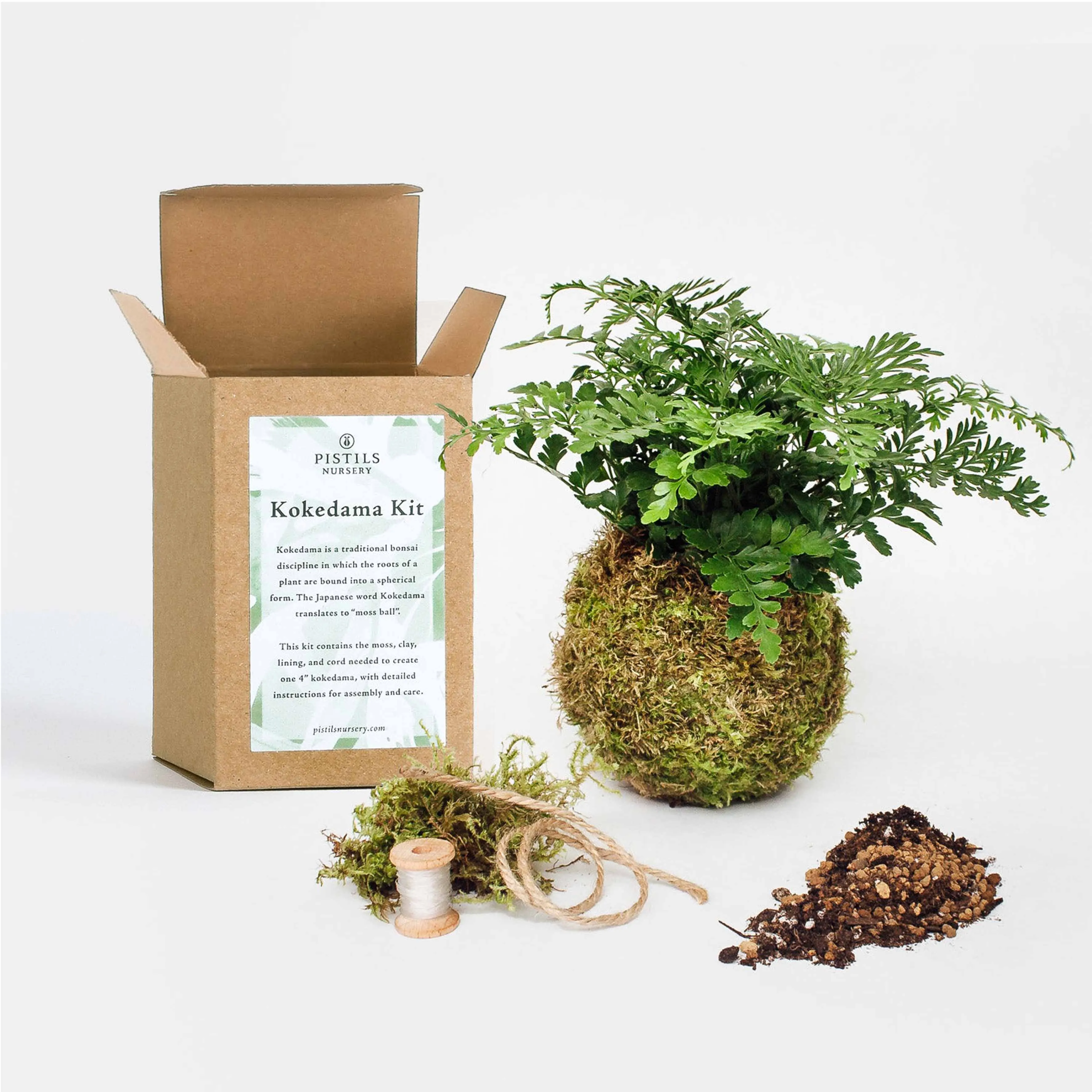 Alibaba.com: DIY Kokedama Kit Mini Plant Kid Terrarium Kit Toy ...