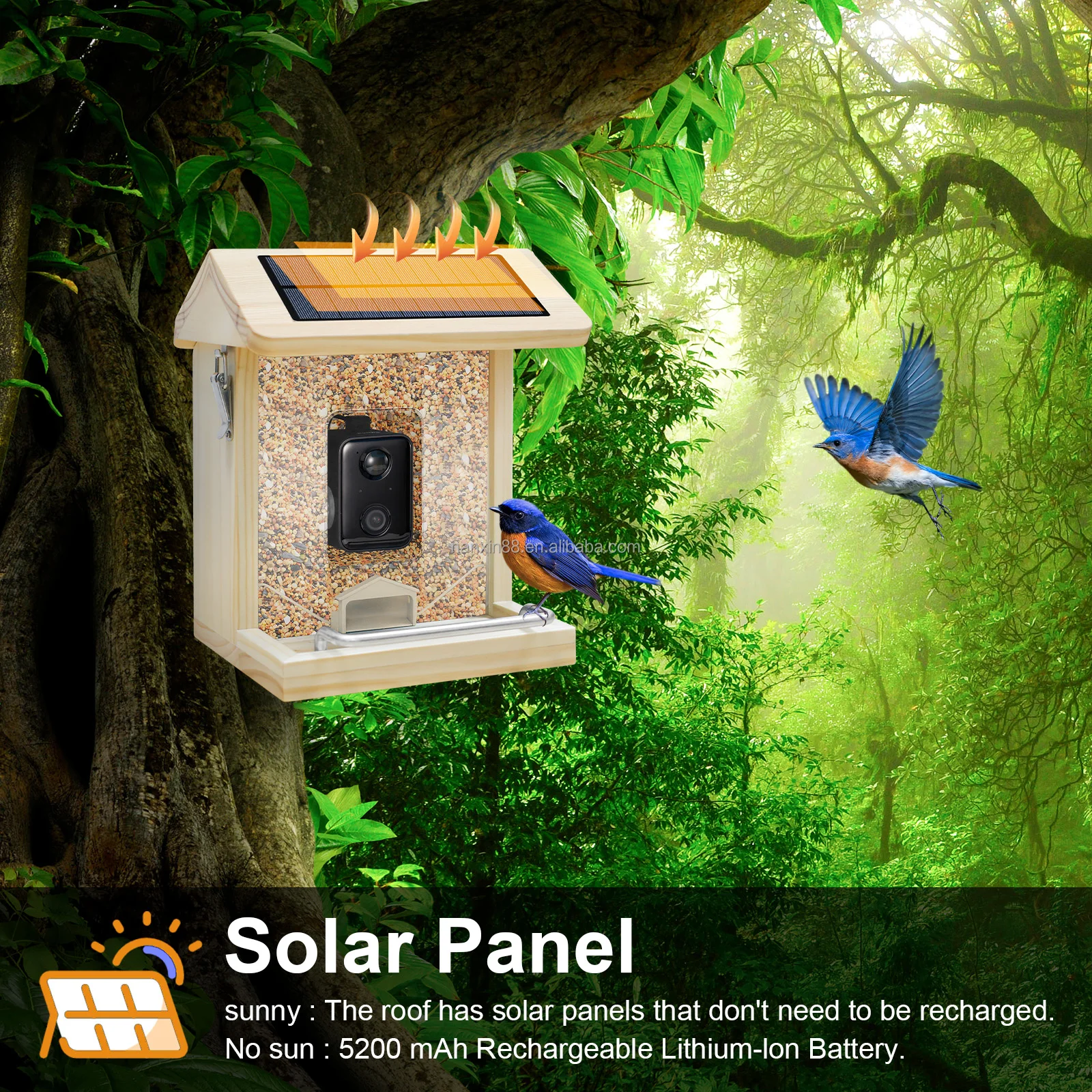 Smart Wooden Bird Feeder With Camera Waterproof Bird Camera With Solar ...