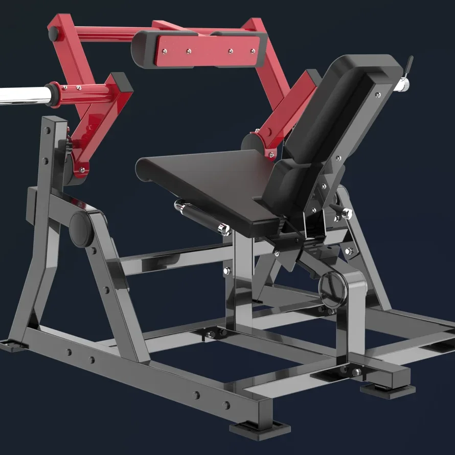 LATERAL LEG PRESS ABDOMINAL OBLIQUE CRUNCH LATERAL LEG EXTENSION ...