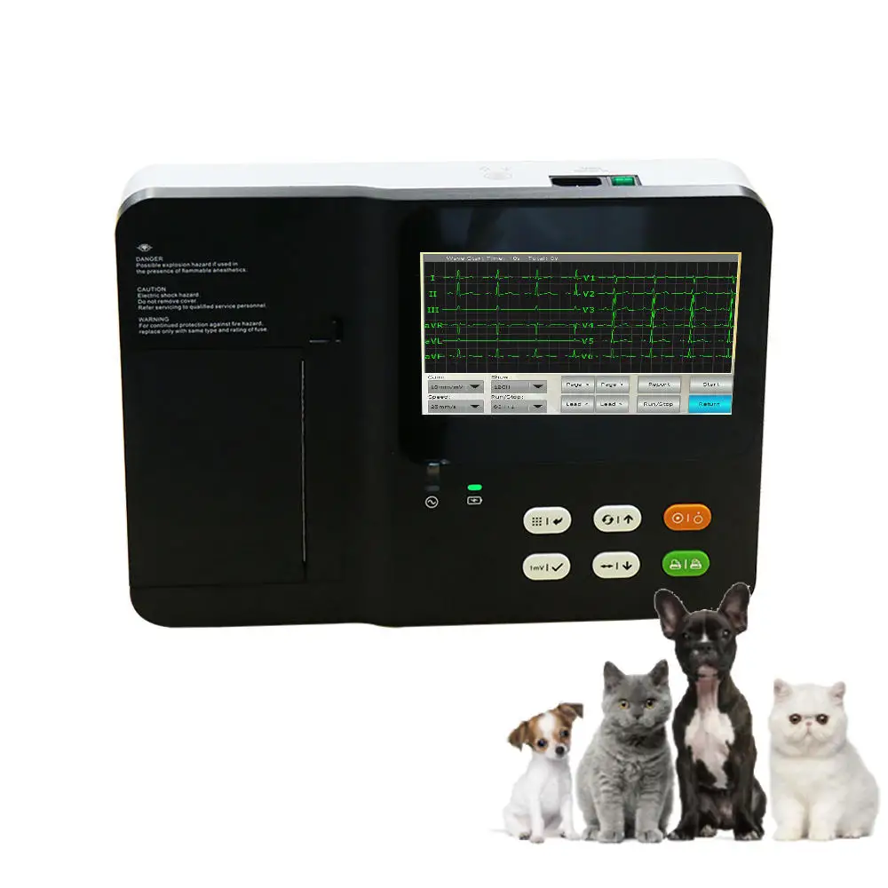 De06-vet Veterinary Electrocardiogram Ecg Interpretation Ventricular ...