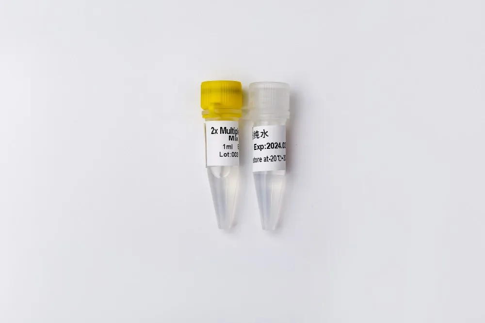 Gds Fast Fragmentation And End Prep Module K032 Buy Dna Fragmentation