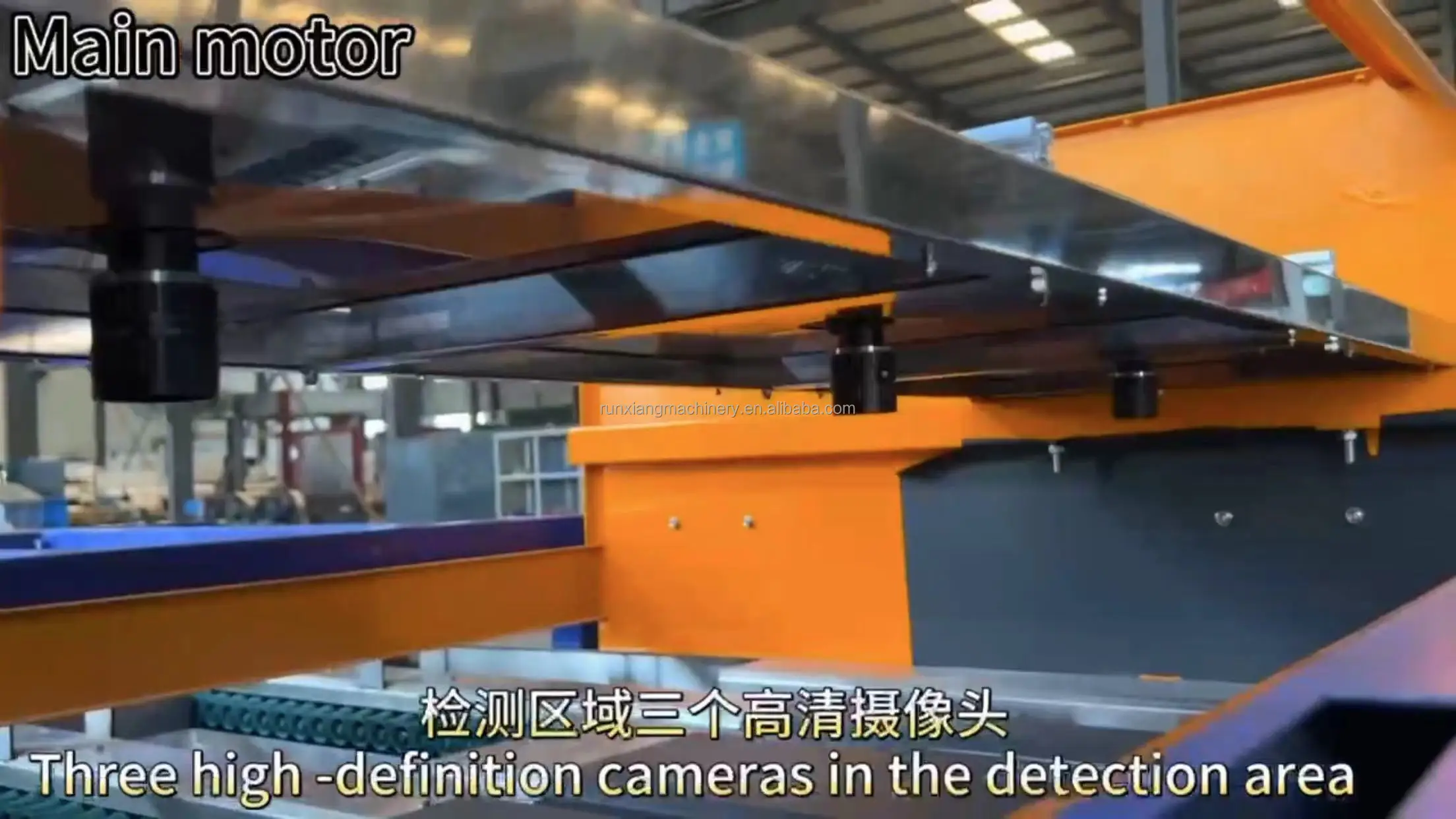 1000-3000kg Commercial Industrial Color Sorter Dates Grading Machine ...