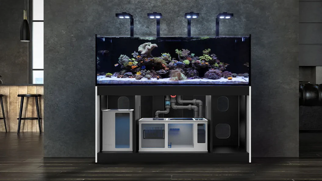 6ft 220 Gallon Aquarium - Ultra Clear Glass Fish Tank