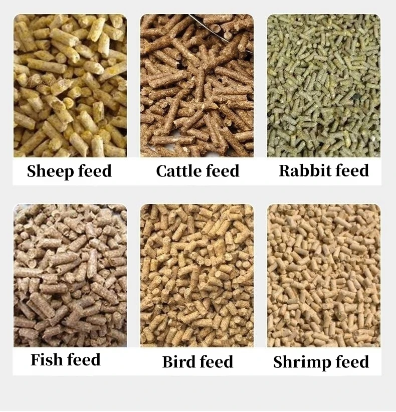 High Productivity Feed Pellet Machines for Animal Feeding