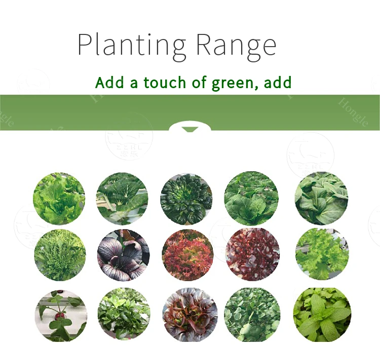 Hydroponic Vegetable Planter - Easy Indoor Growing