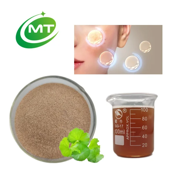 Natural Asiaticosides Triterpenes Centella Asiatica Extract Powder Gotu ...