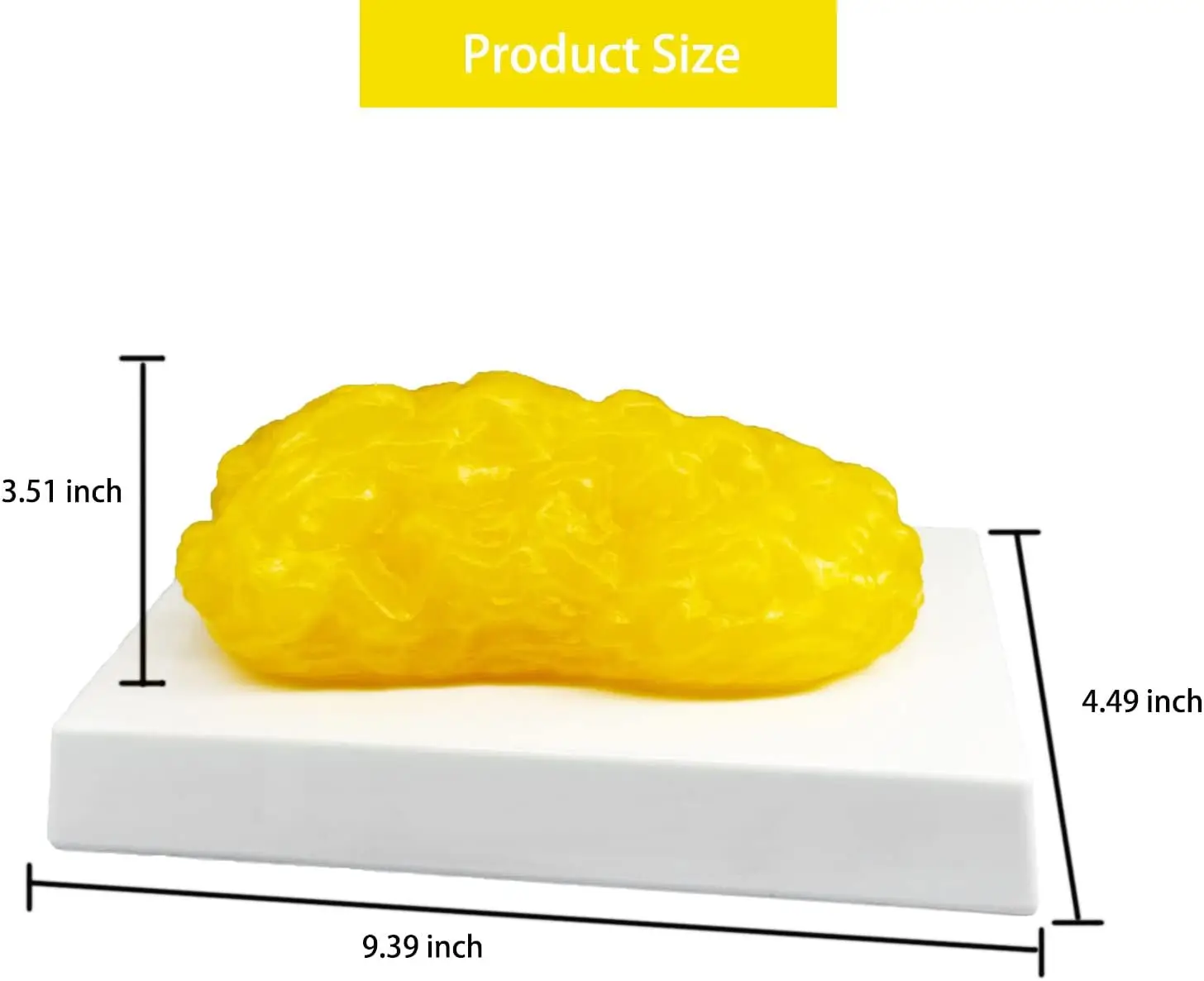 Medical Teaching Equipment Fat Model 1 Lb Elastic Human Body Fat 1 ...