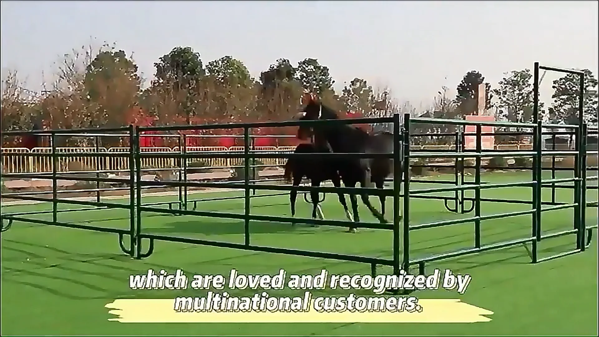 America Or Canada Green Or Black Powder Painted Galvanized Livestock ...