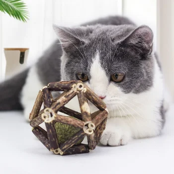 Natural Silvervine Stick Cage Balls Bell Ball For Indoor Cats Kitten ...