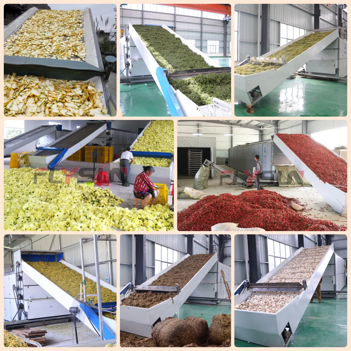 How Does A Drying Machine Work Dry Vegetable Machine Drying Vegetables ...