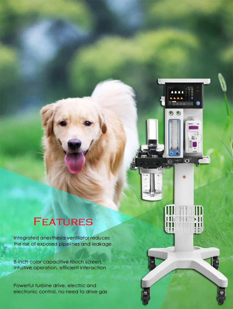 Mindray Veta 3 & Veta 5 Anesthesia Machines for Veterinary Use