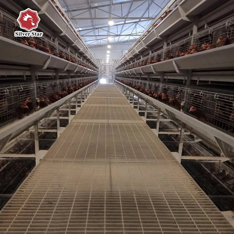 Full Automated Layer Raising Equipment/h Type Poultry Battery Farm Cage ...