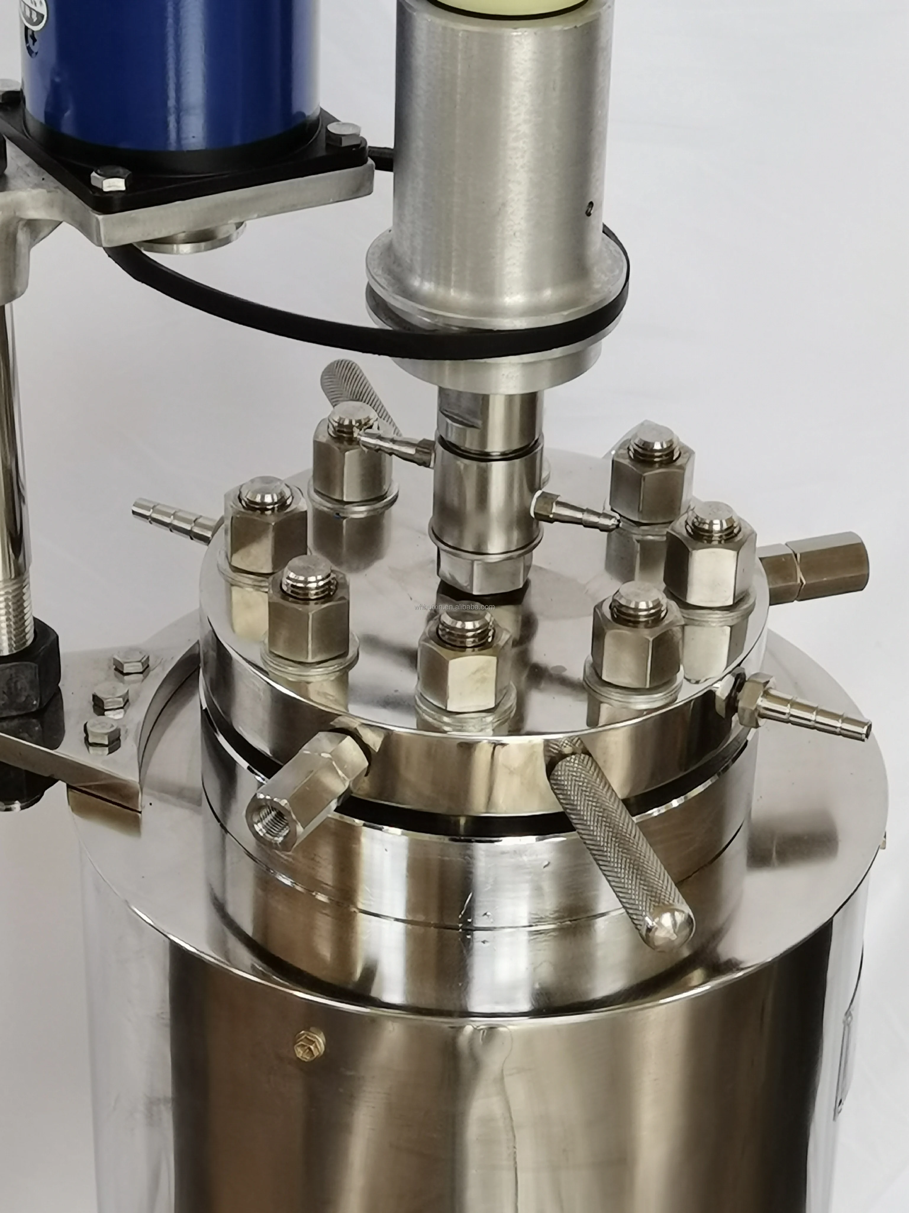 Stainless Steel High Vacuum Pressure 2L Lab Scale Pyrolysis Reactor