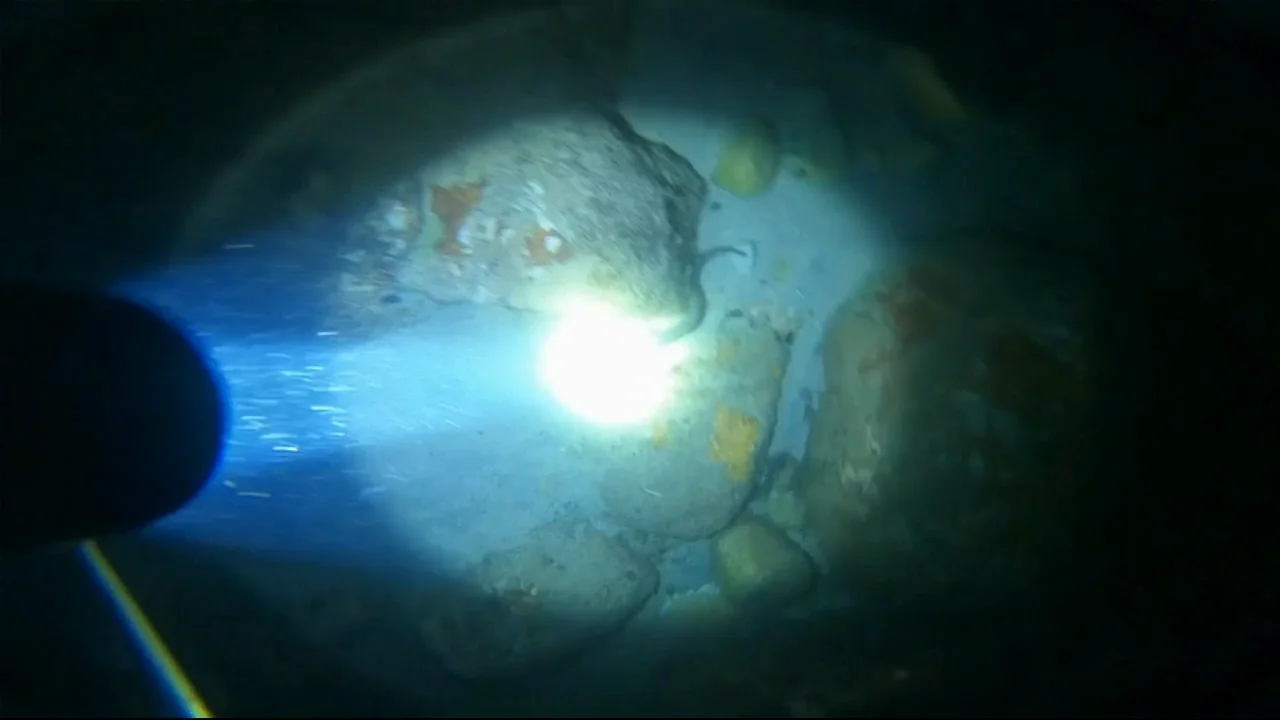 Professional Diving Flashlight 50m Ip68 Waterproof Submarine Diving ...