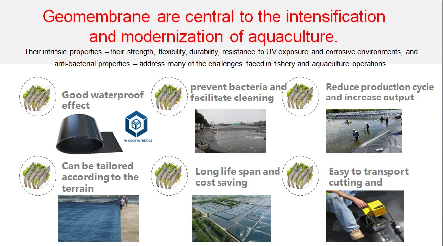 Plastic Water Dams for Aquaculture in Kenya - Durable & Eco-friendly