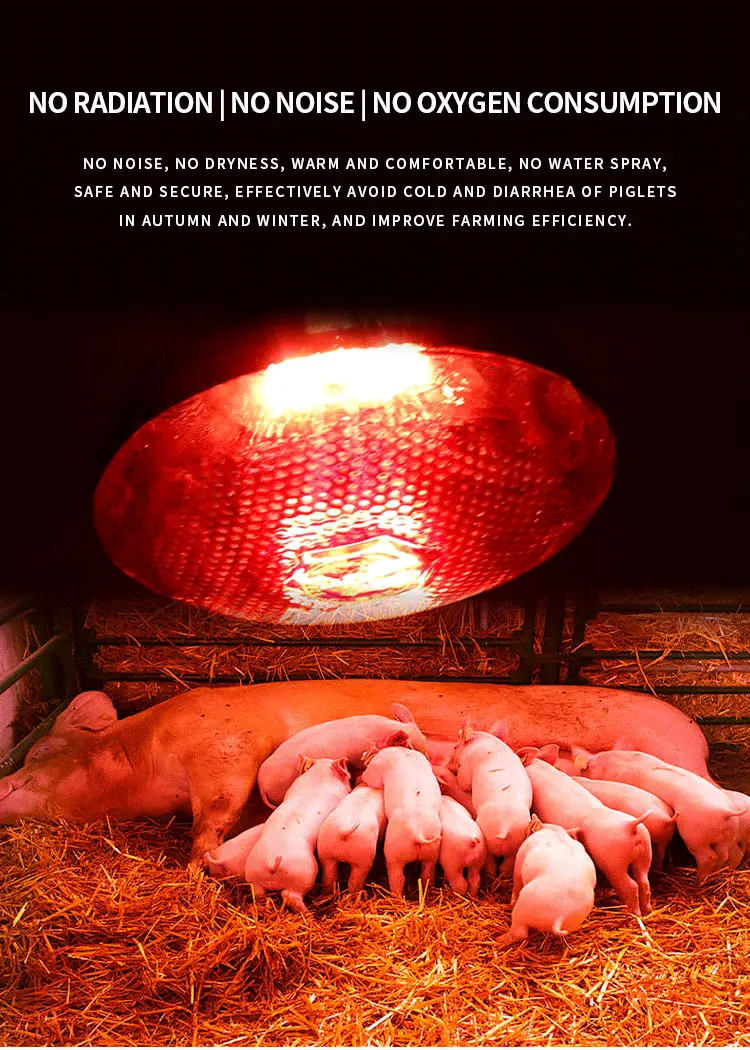Waterproof Infrared Heat Lamp for Brooder Hatch Chicken Pig