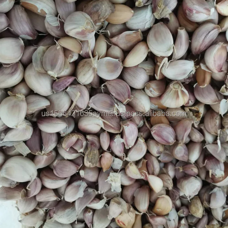 Garlic Separate Machine Garlic Separating Garlic Cloving Machine - Buy ...