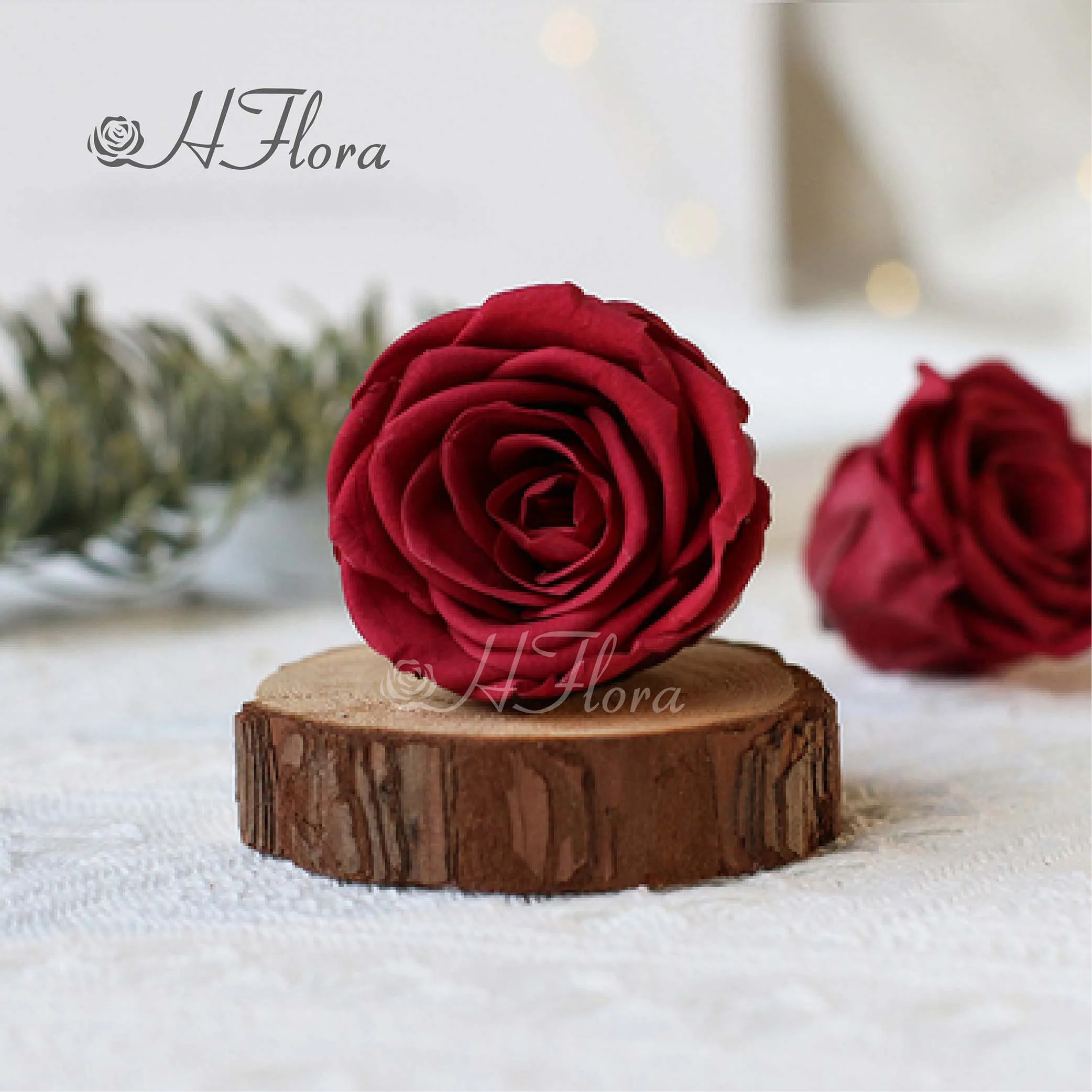 Hflora Immortal Preserved Roses - High Quality Eternelle Rosas Preservadas