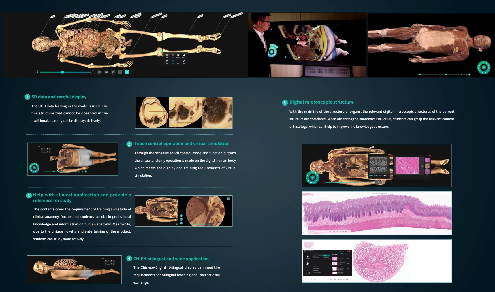 Ysdha-i88 Virtual Anatomy Table System Interactive 3d Virtual Anatomy Dissection Table Learning ...