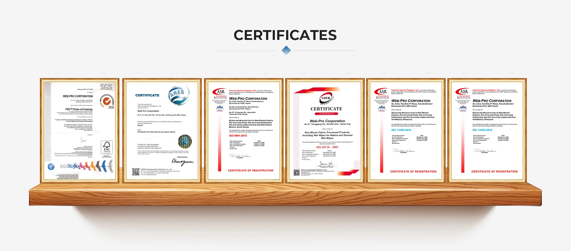 Company Overview Web Pro Corporation