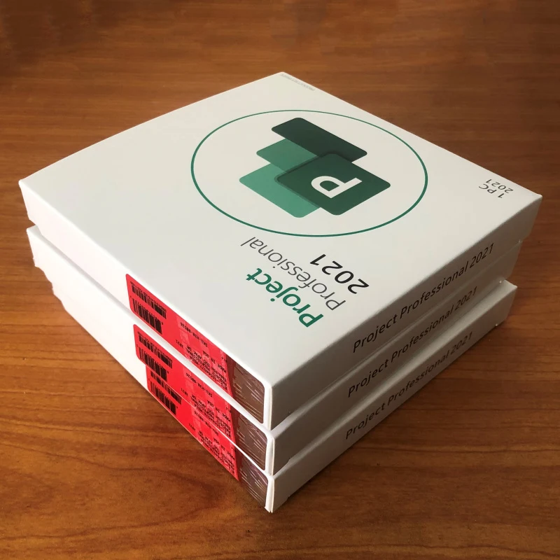 Project Professional 2021 - Efficient Project Management