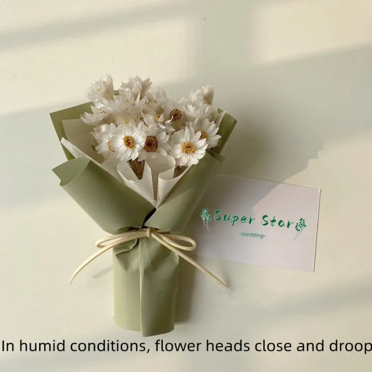 O-062 Dried Flowers Real Natural Dried Flower Bouquet Mini Boho Dry ...