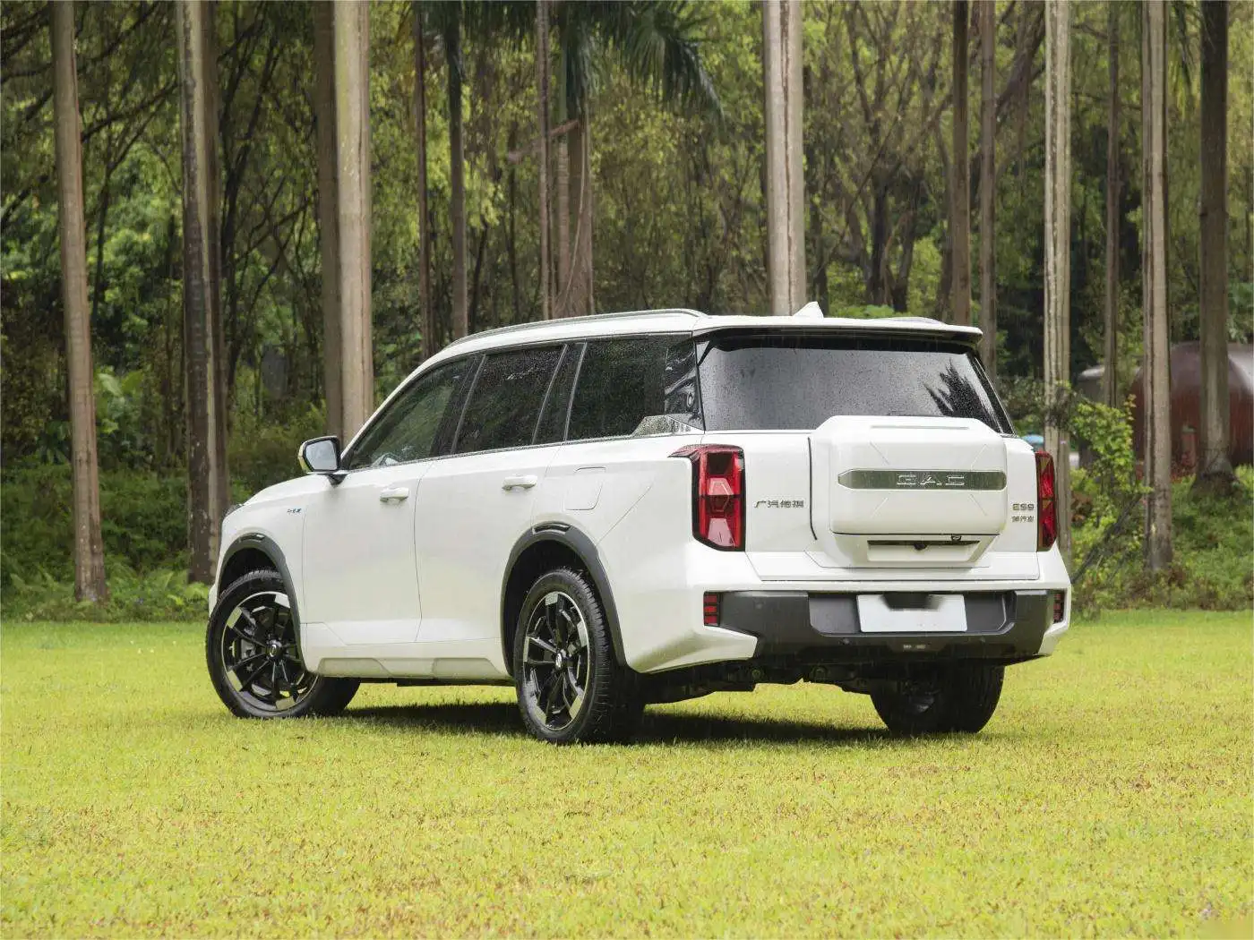 Gac Trumpchi Es9 Phev 2024 New 5-door 7-seater Suv Electric Plug In Hybrid Vehicle - Buy Es9 ...