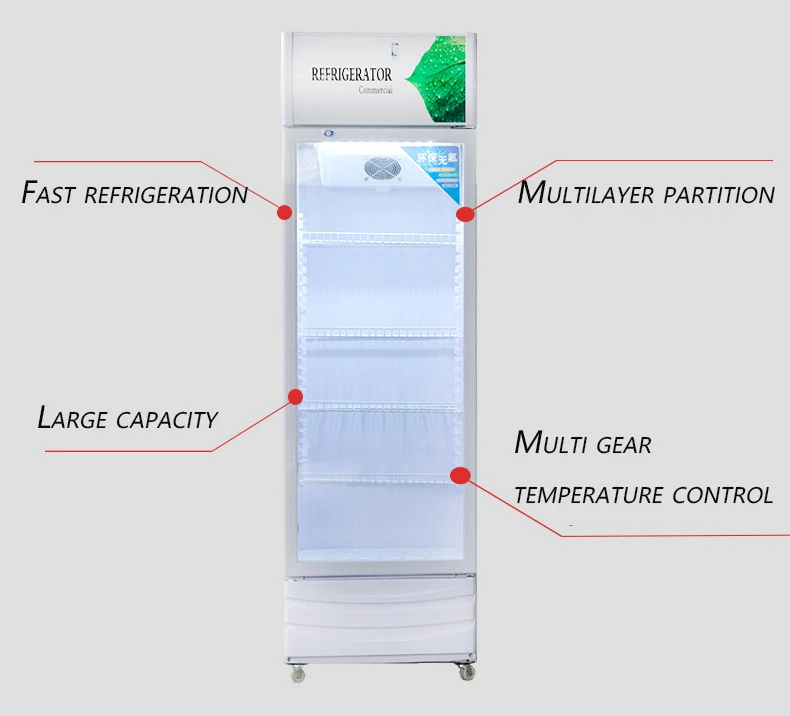 TONLI Commercial Display Freezer - Glass Doors & 1500L Capacity