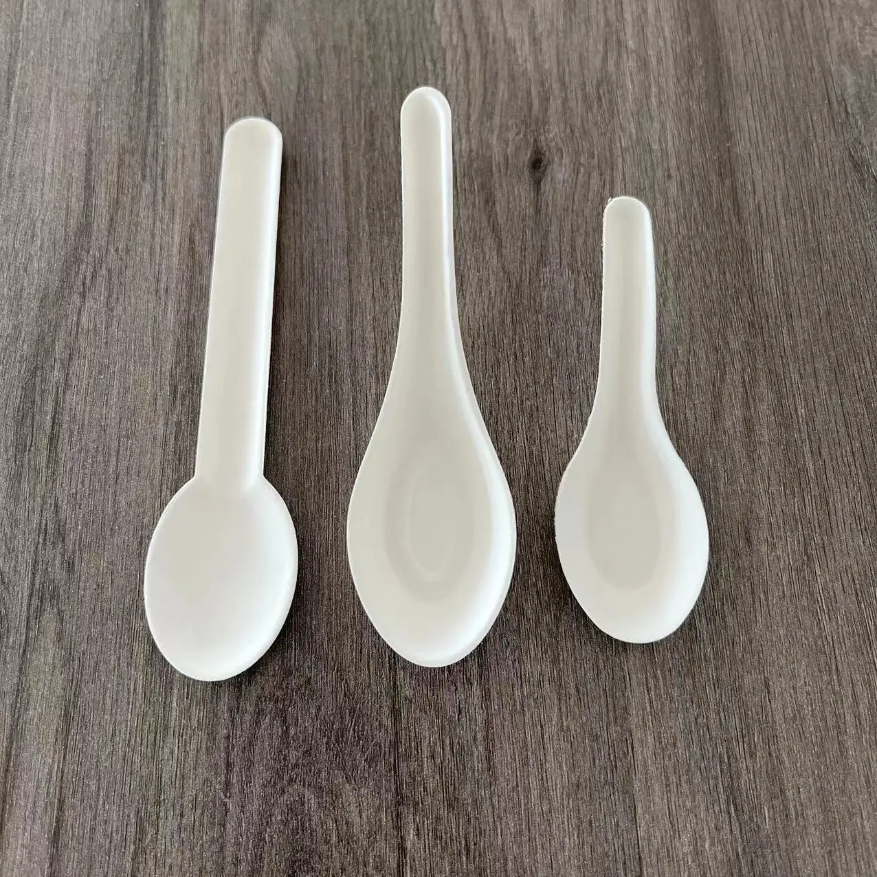 Bagasse Pulp Spoon - Compostable Cutlery for Camping