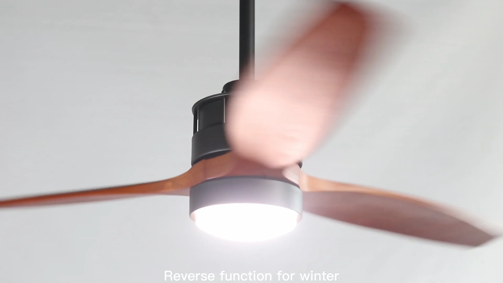 Decorative Ceiling Medallions Fan With Light And Wood Blades Design ...