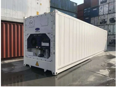 Thermo King Super Freezer Container New Reefer Storage Containers - Buy ...