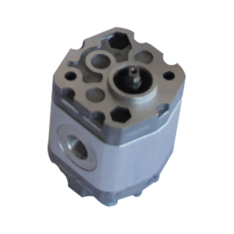 Professional Gear Pump for Hydraulic Units - Mini Displacement