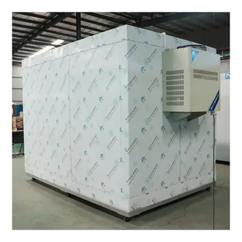 Polyurethane Cold Room With Ceiling Mounted Monoblock Compressor Unit For Cold Room Storage ...