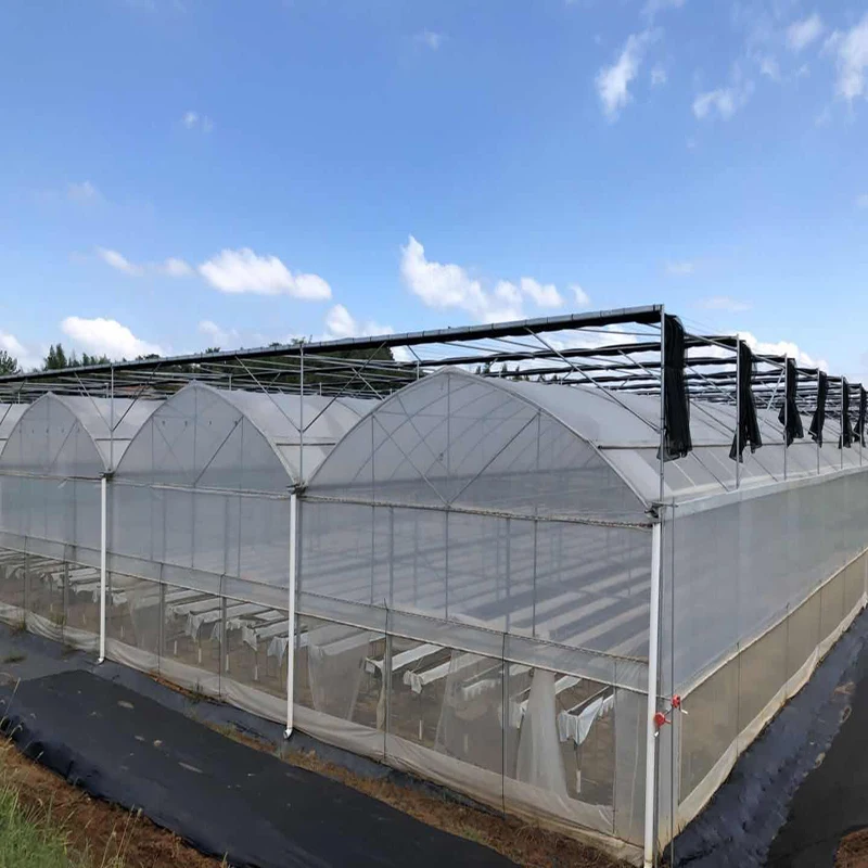 8m Prefabricated Greenhouse Tropical Greenhouse Multi Span Greenhouse ...