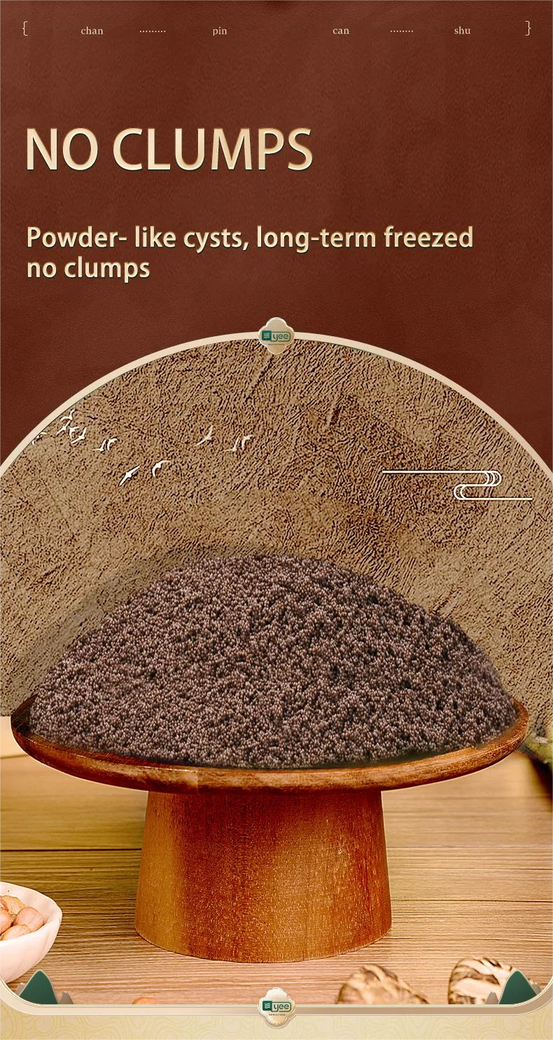 High Hatchability Live Fish Egg Aquarium Food Artemia Cysts Baby Brine ...