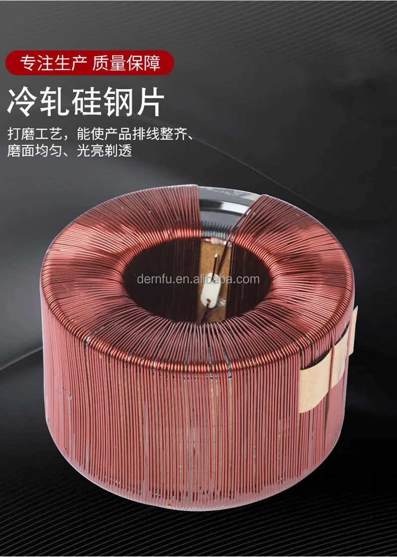 Voltage Regulating Coil - DERNFU Autotransformer (20210316)