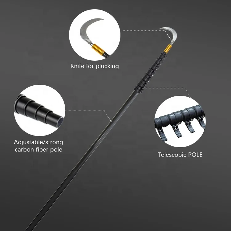 50ft Telescopic Pole Coconut Picker - Carbon Fiber Strength