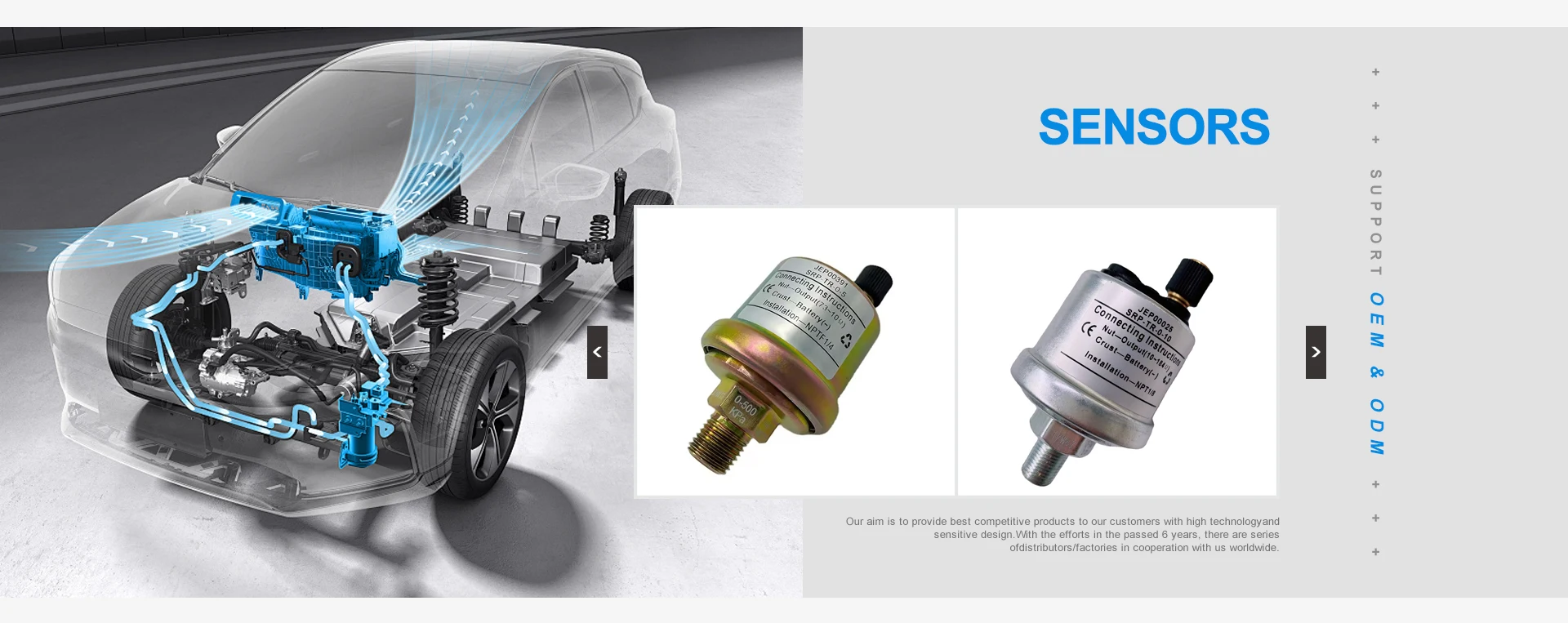 Company Overview - Nanjing Delphi Automotive Parts Co., Ltd.