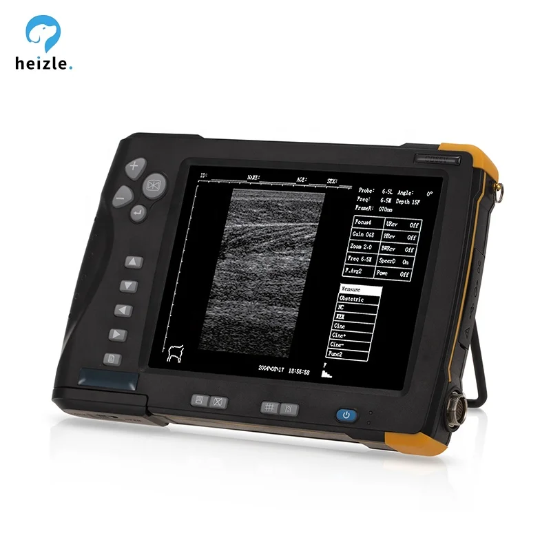 Cattle Sheep Ultrasound Machine Horse Ultrasound Portable Medical ...