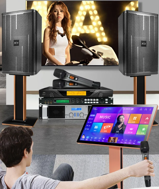 Karaoke Machine System Ktv Professional Karaoke Player High-power ...
