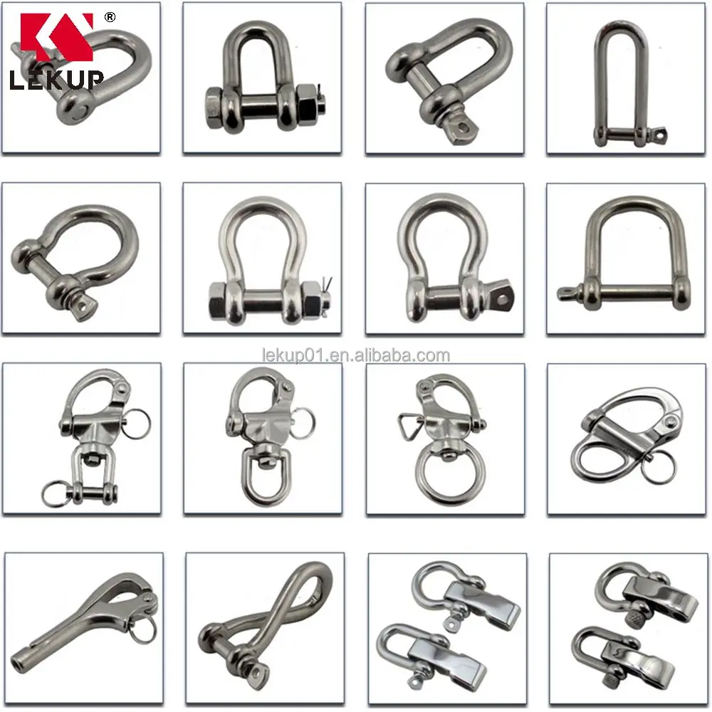 Stainless Steel 316 D Ring Shackle Bolt Type Forged Rigging Hardware ...