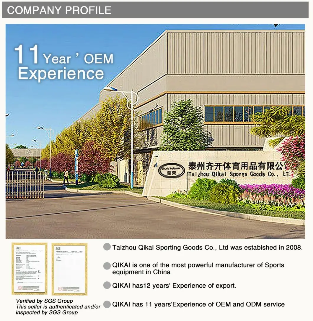 Q024 Outdoor Power Lift Adjustable 10 Ft Basketball Hoop Stand With Basketball Ring Slanting ...