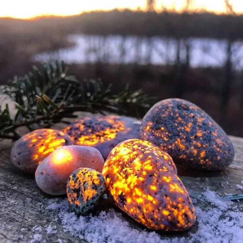 Manta Ray S1 UV Flashlight - 365nm LED for Fluorescent Detection