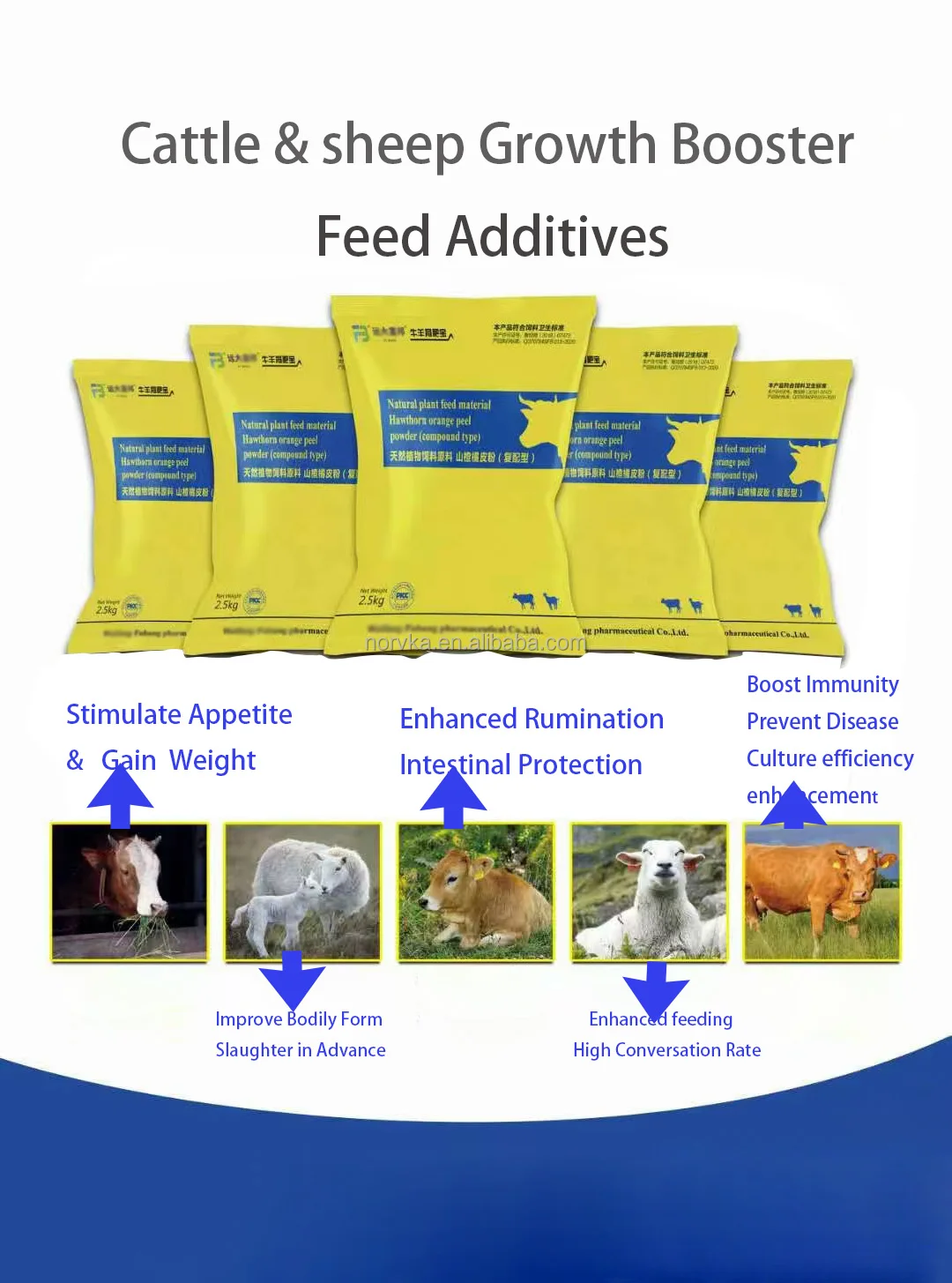 Feed Grade Amino Acids Supplement for Cattle and Sheep Fattening Growth ...