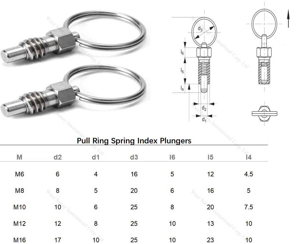 Gn717 M6 M8 M10 M12 Stainless Steel Pull Ring Spring Index Indexing ...