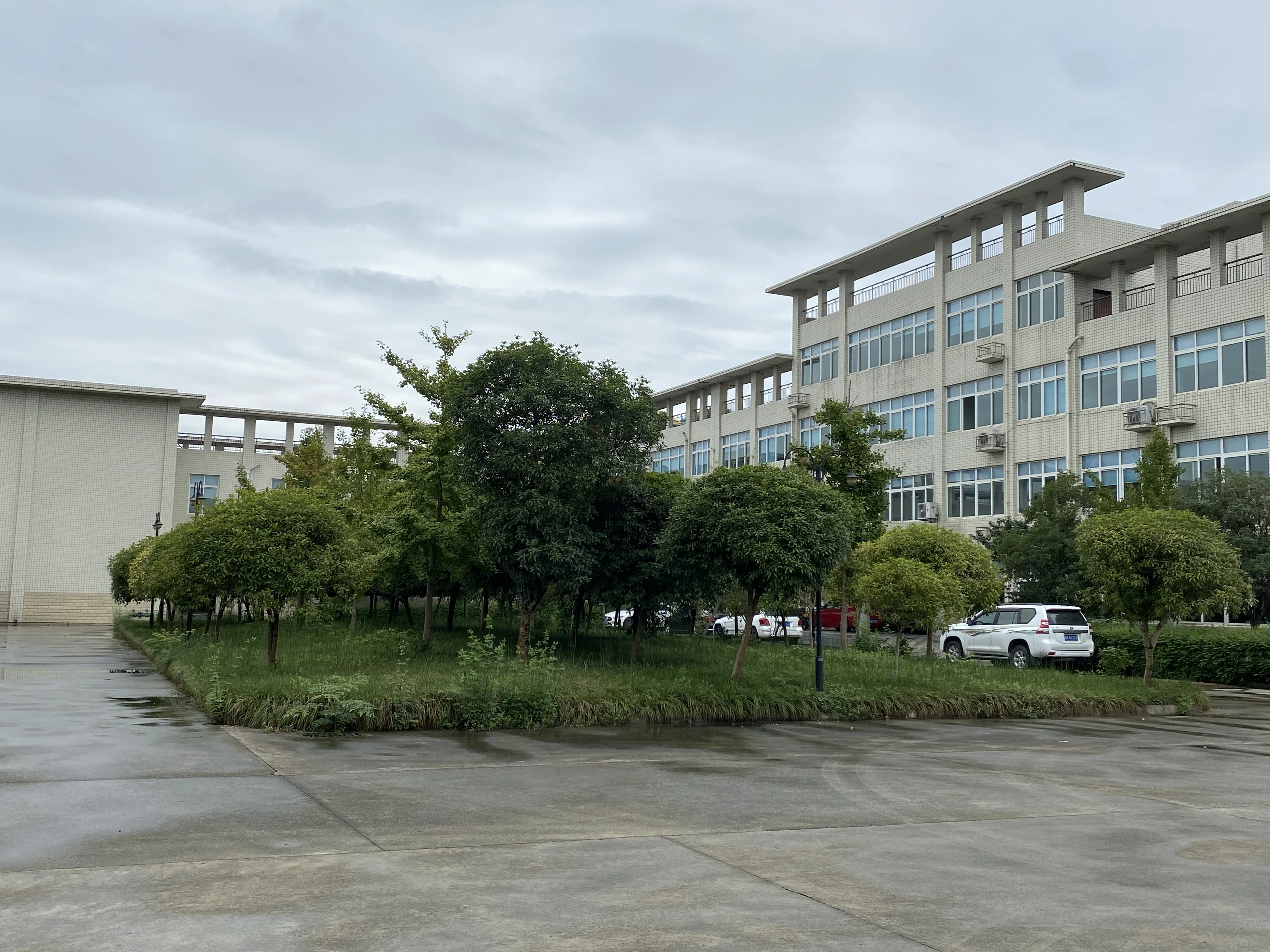 Shampoo Base SLES70% Texapon N70 Sodium Lauryl Ether Sulphate Foam ...